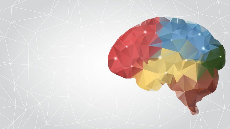 Brain connections | Preventous Collaborative HealthPreventous ...